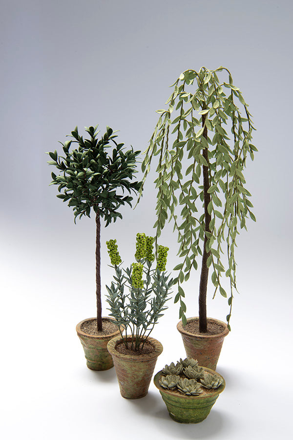 1/12th scale Garden Tree kits – The Miniature Garden