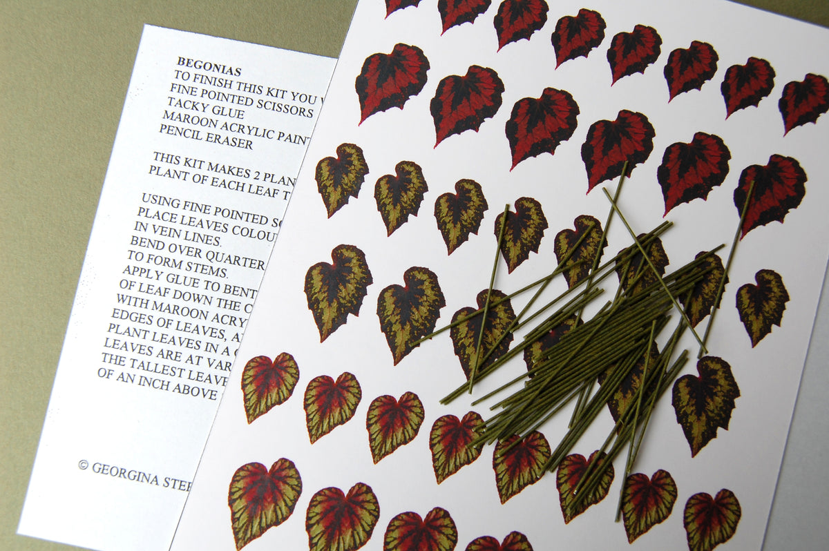 Begonia Paper Flower kit for 1/12th Dollhouses, Florists and Miniature ...